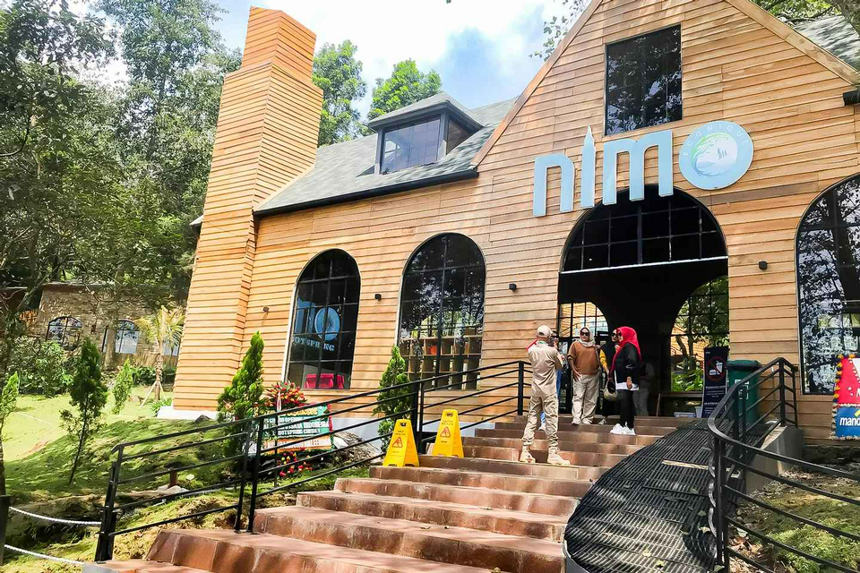 Book Nimo Jungle Hotspring Tickets | Flat 20% Off